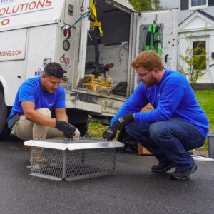 Caps vs. Crowns vs. Covers: Understanding the Differences